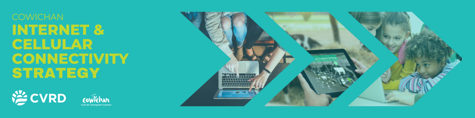 Strategy provides roadmap to improved internet and cellular ...